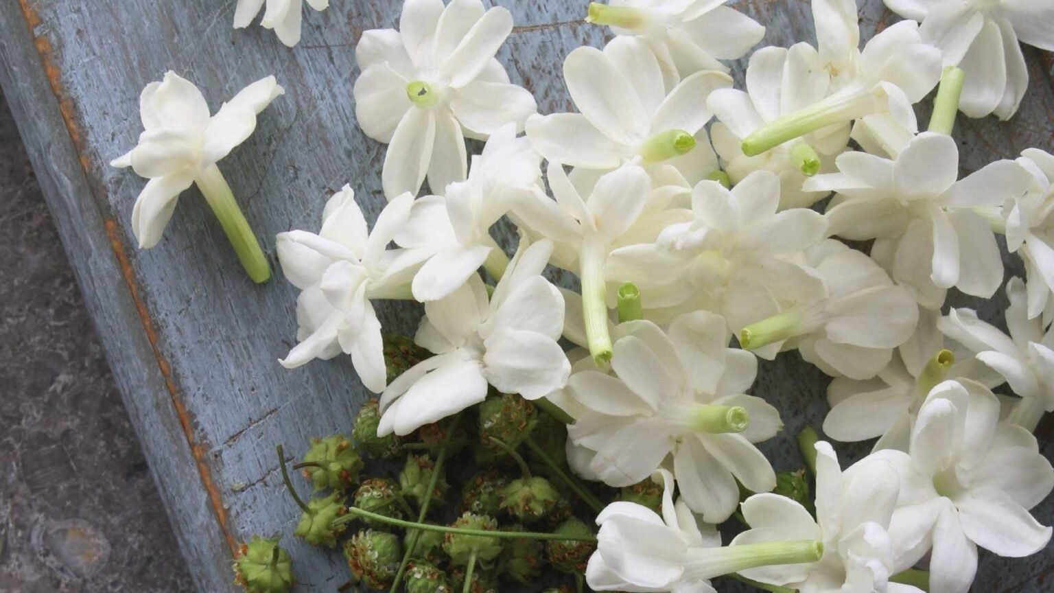 Edible Flowers in India You Never Knew You Could Eat