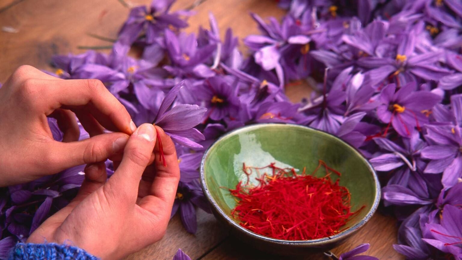 Edible Flowers in India You Never Knew You Could Eat
